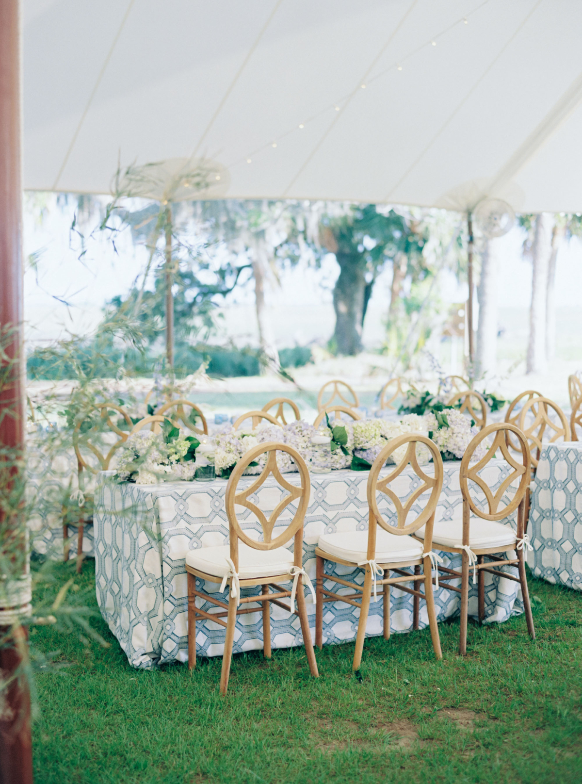 A Southern Celebration Full of Heart at Agapae Oaks - Magnolia Rouge